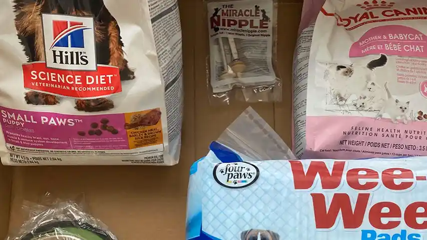 Donations - Wonder Paws Rescue | South Florida Animal Rescue